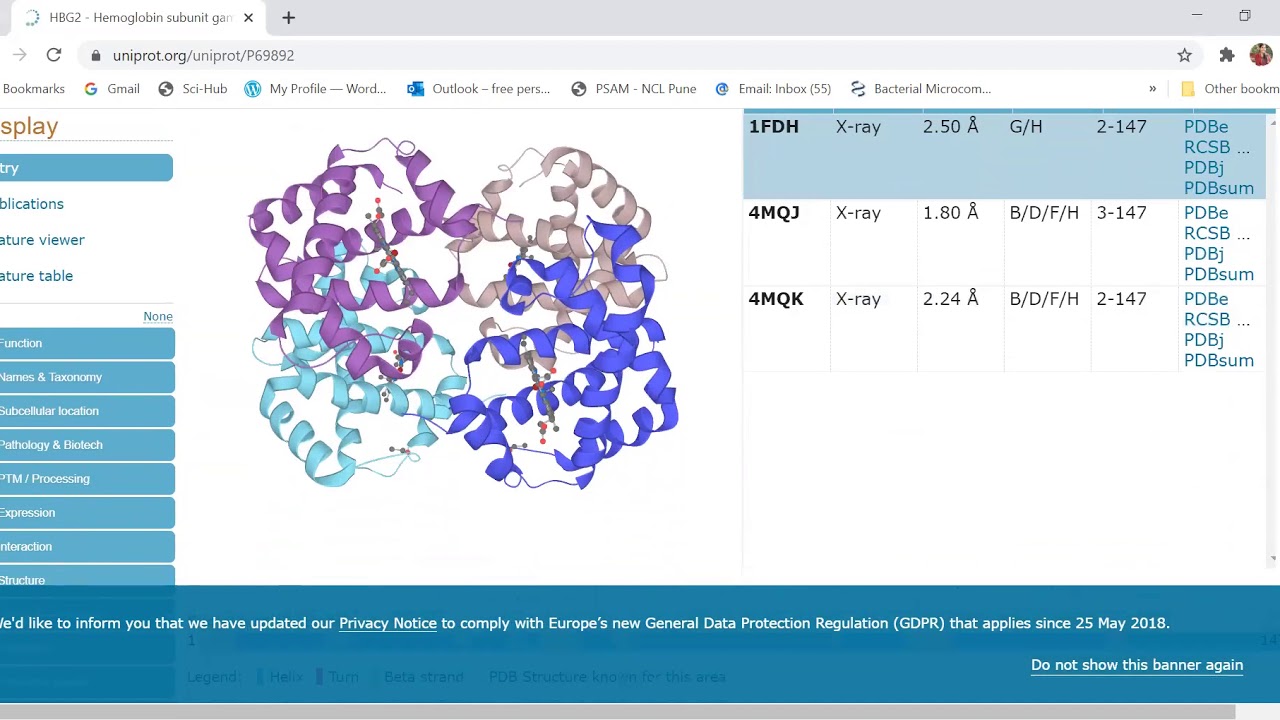 Download a protein's amino acid sequence in FASTA format from the ...