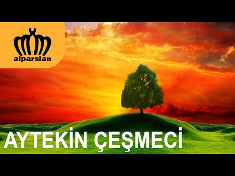 AYTEKİN ÇEŞMECİ - ÇOK ZALİMSİN