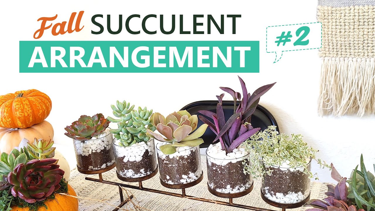 DIY Succulent Fall Arrangement | Succulent Fall Centerpiece - YouTube