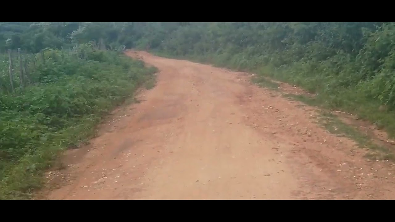 Terreno minado - YouTube