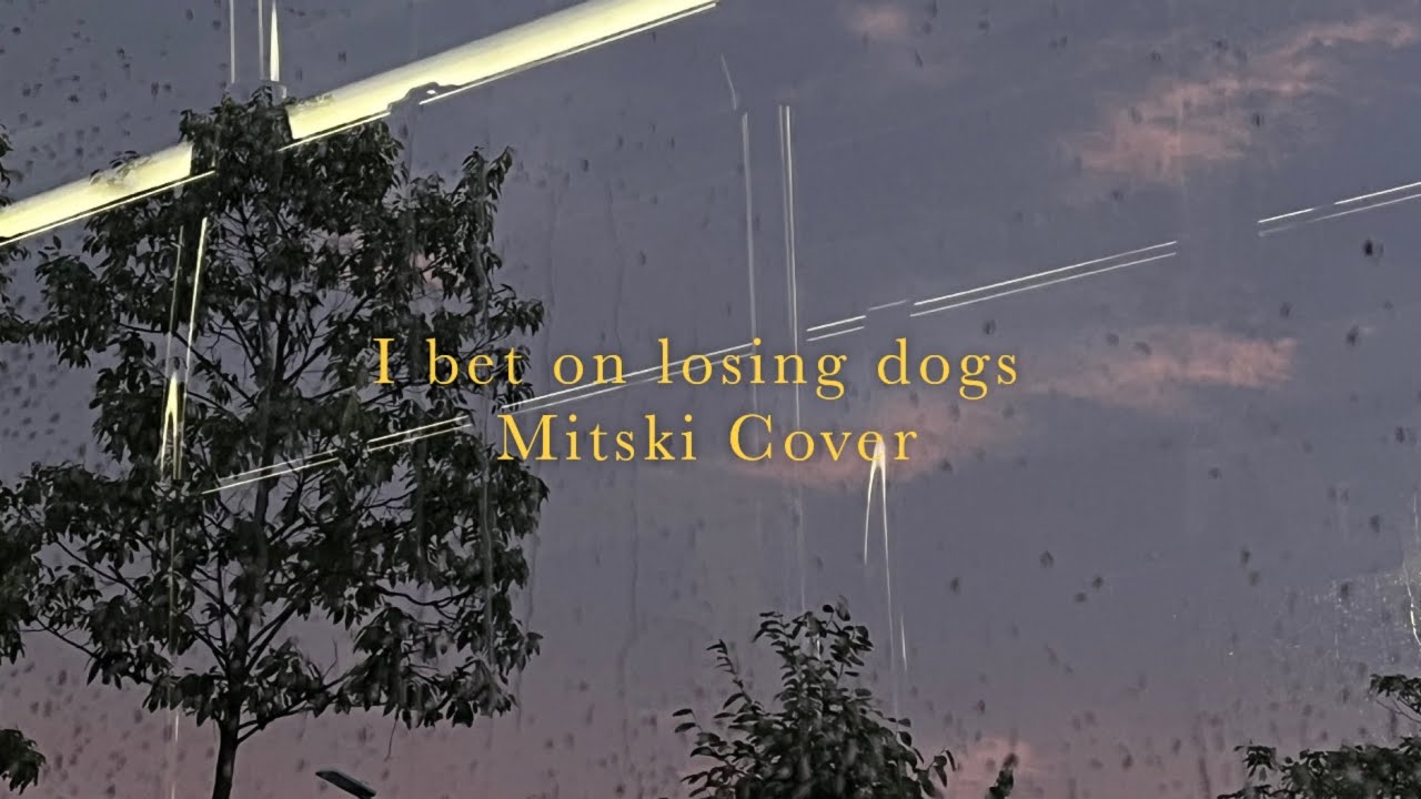 i bet on losing dogs cover || Mitski - YouTube