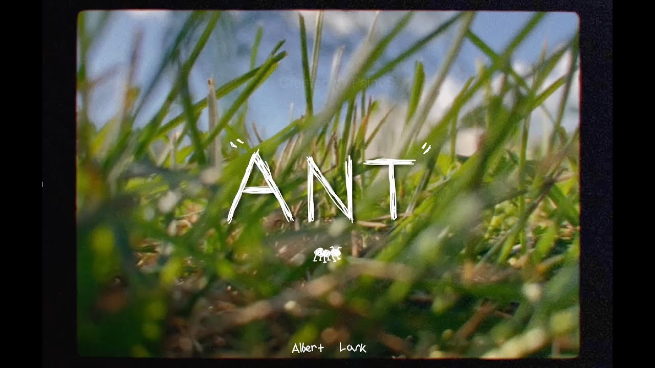 Albert Lark - Ant (Official Music Video) - YouTube