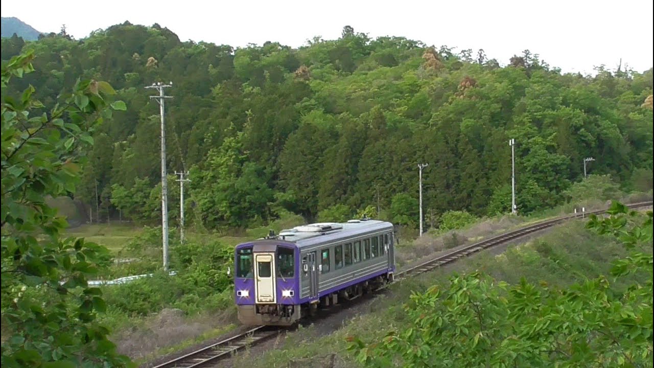 Dashing through the canyon, JR Kansai Main Line diesel trains echo ...