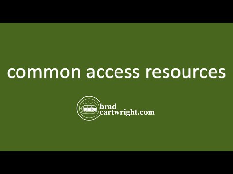 Common Access Resources (Tragedy of the Commons) | Market Failure | IB ...