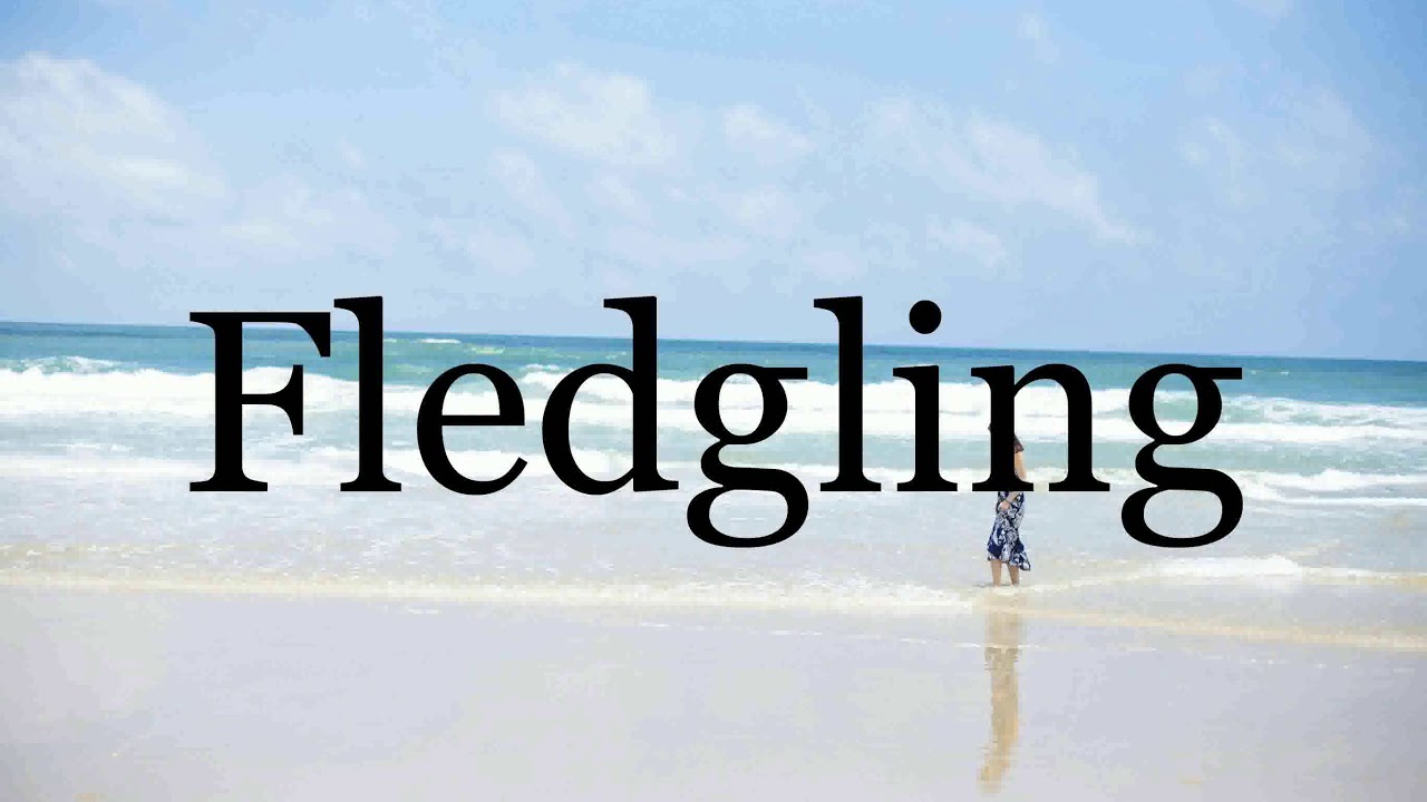 How To Pronounce Fledgling🌈🌈🌈🌈🌈🌈Pronunciation Of Fledgling - YouTube
