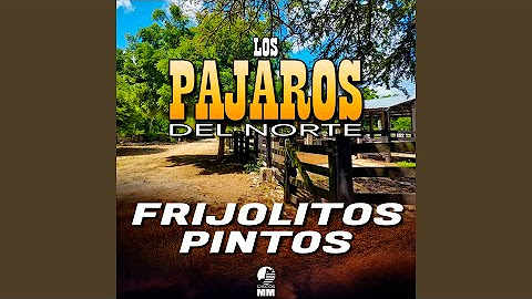 Los Pajaros del Norte - Frijolitos Pintos (Full Album) - YouTube