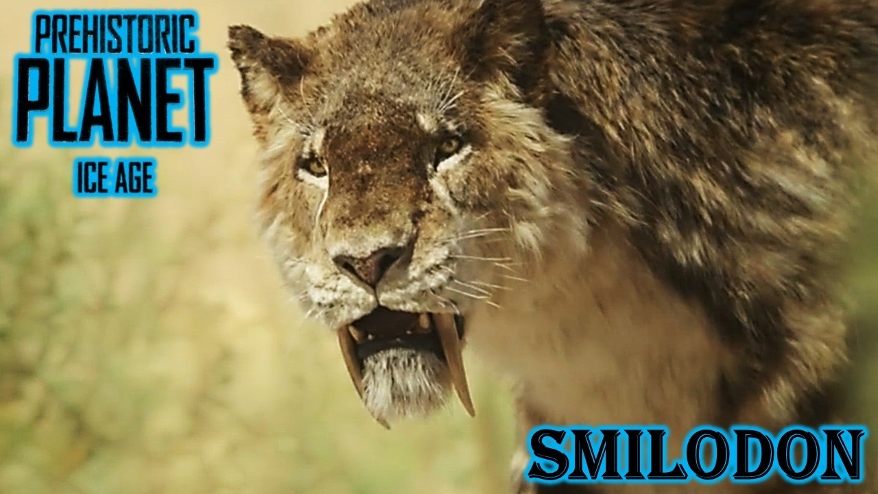 prehistoric Planet Ice age male Smilodon populator screen time - YouTube