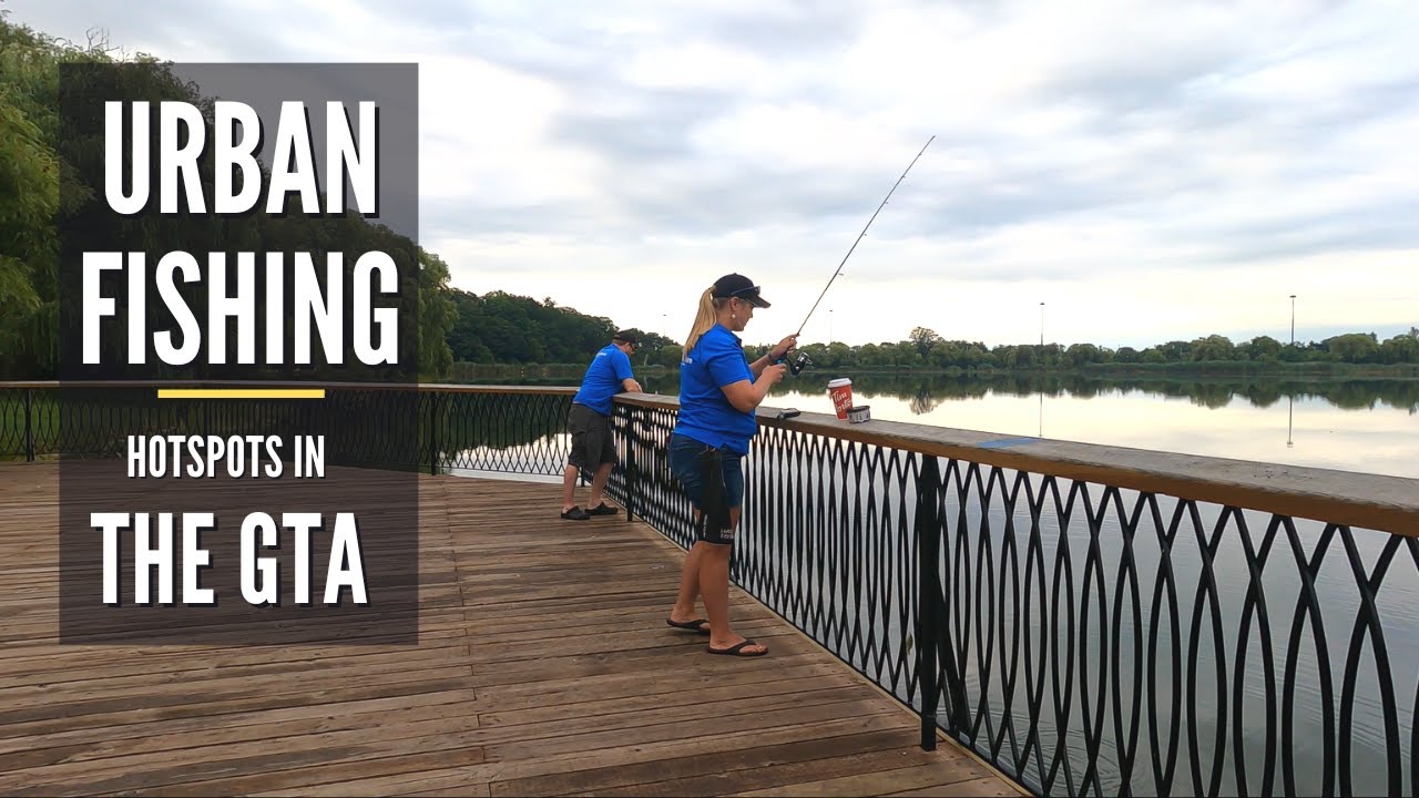 Grenadier Pond in Toronto | Urban Fishing Hotspots in The GTA - YouTube