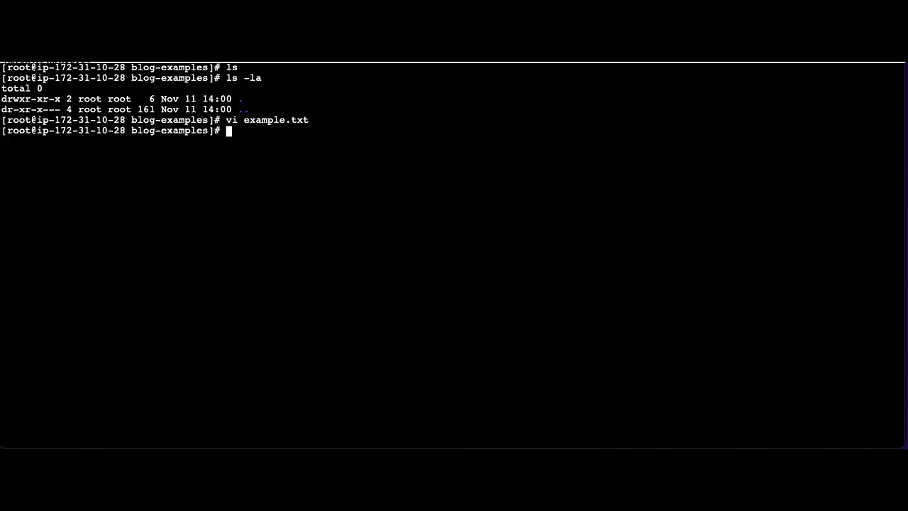 vi basics - YouTube