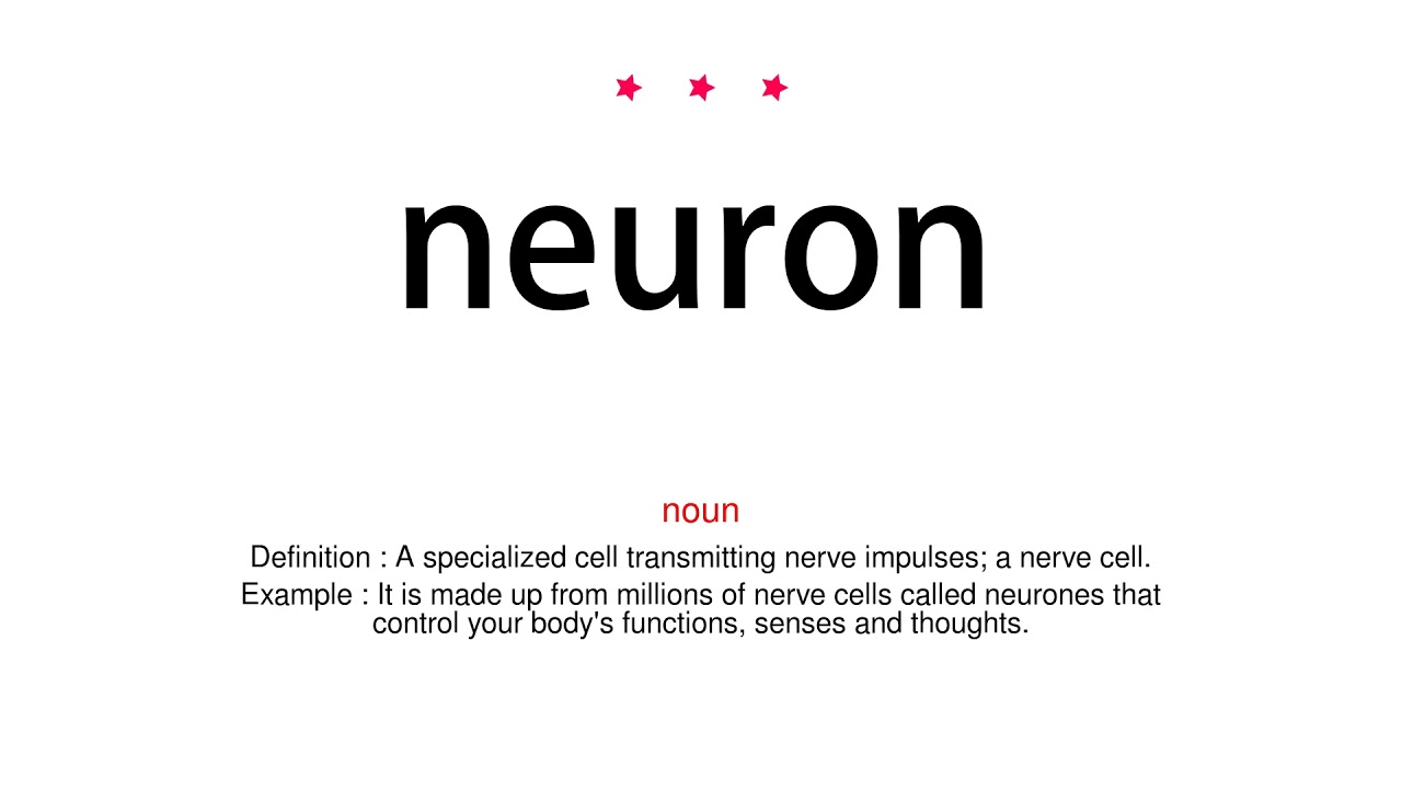 How to pronounce neuron - Vocab Today - YouTube