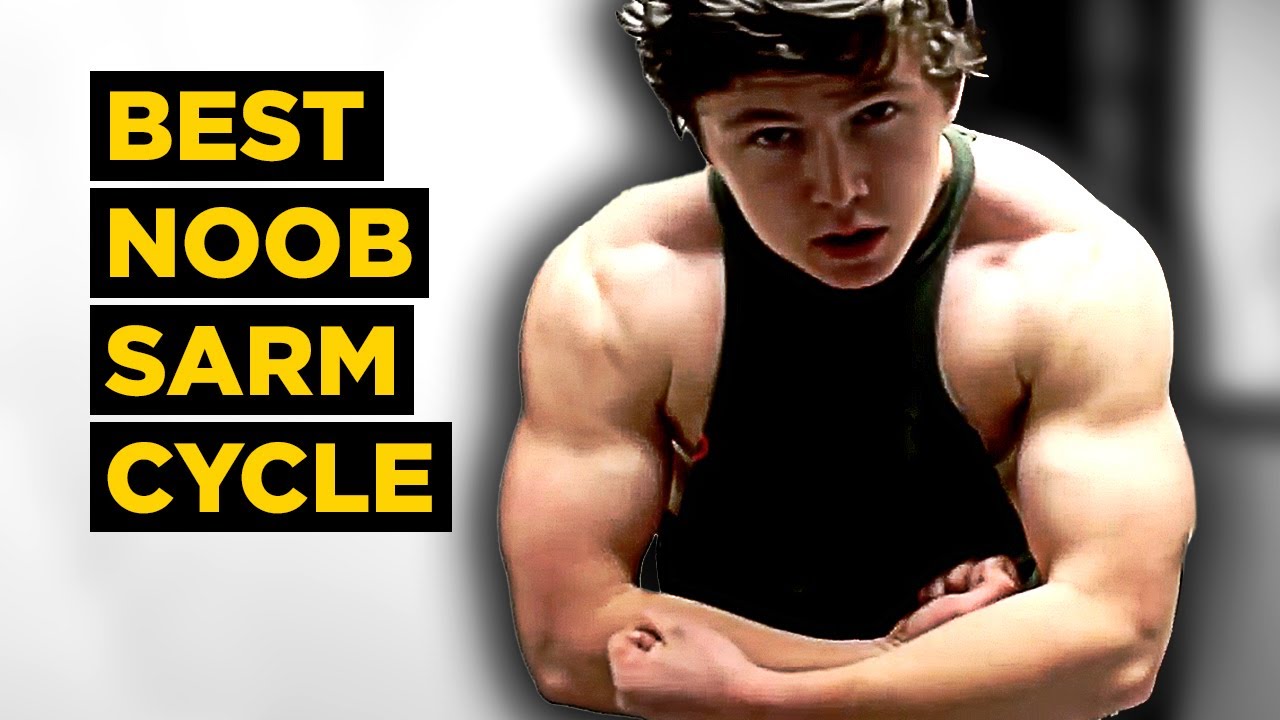 BEST Beginner SARM Cycle - YouTube