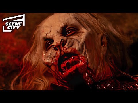 The Death of Count Dracula | Bram Stoker's Dracula (Gary Oldman, Winona Ryder)