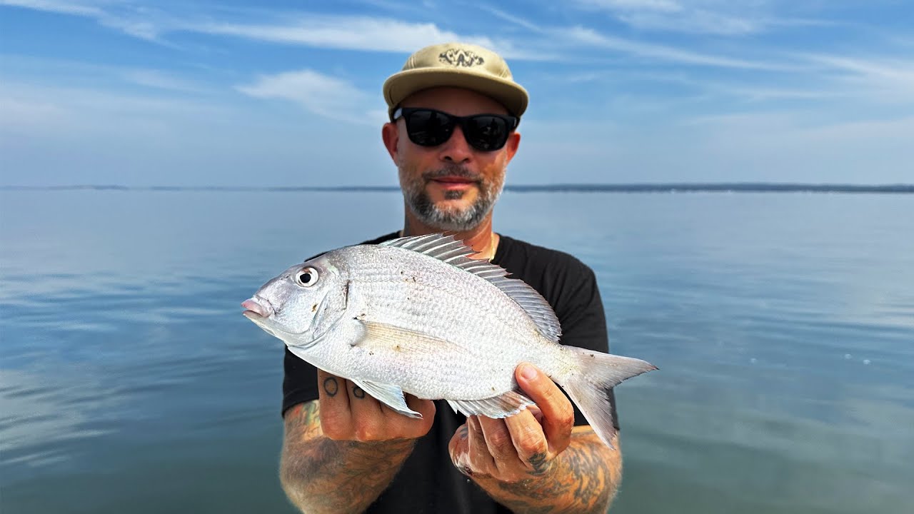 Sicilian Fish Sandwich | Porgy Catch Clean Cook - YouTube