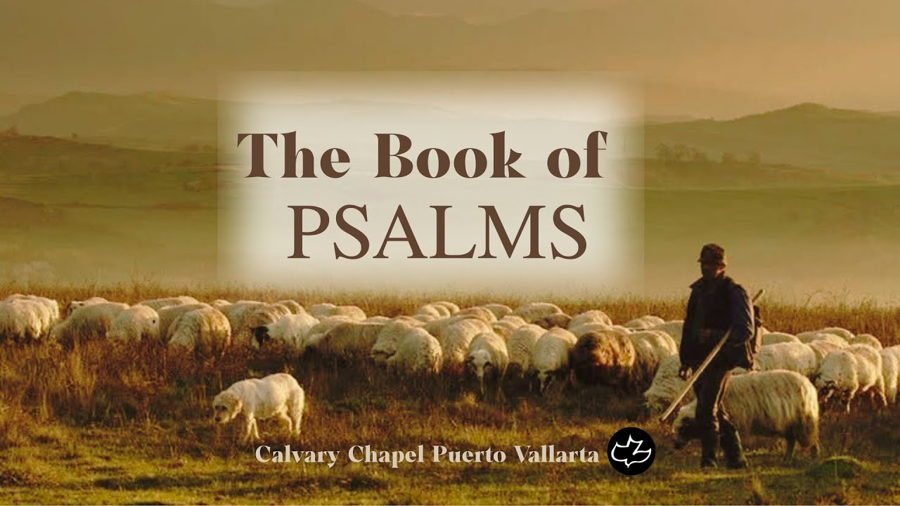 Welcome to Calvary / Bienvenidos a Calvary - YouTube