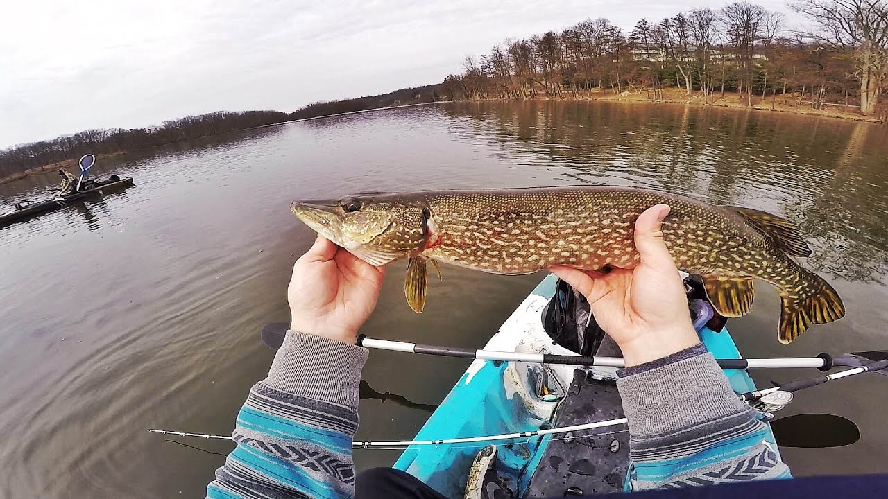 Kayak Northern Pike Fishing 3/12/2016 (Pike Jump!) - YouTube