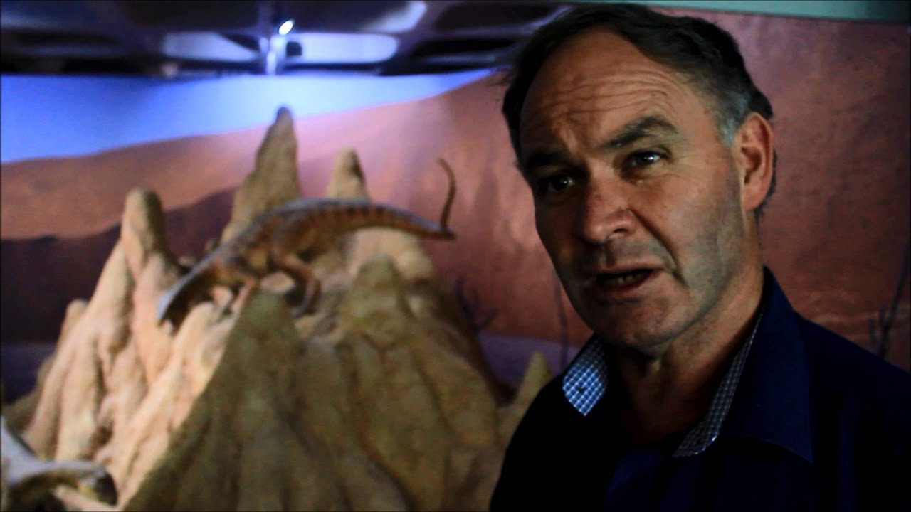 35th IGC Bruce Rubidge - YouTube