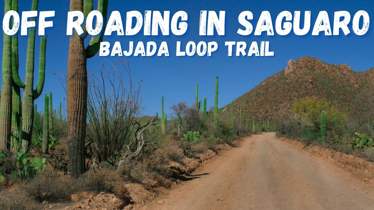 Saguaro National Park West Arizona | Bajada Loop Trail Scenic Off-Road ...