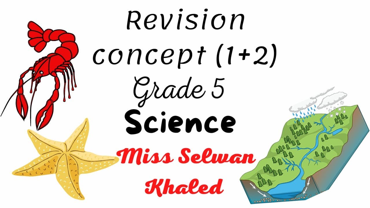 Science |Grade 5 | Second term | February Revision 2023 - YouTube