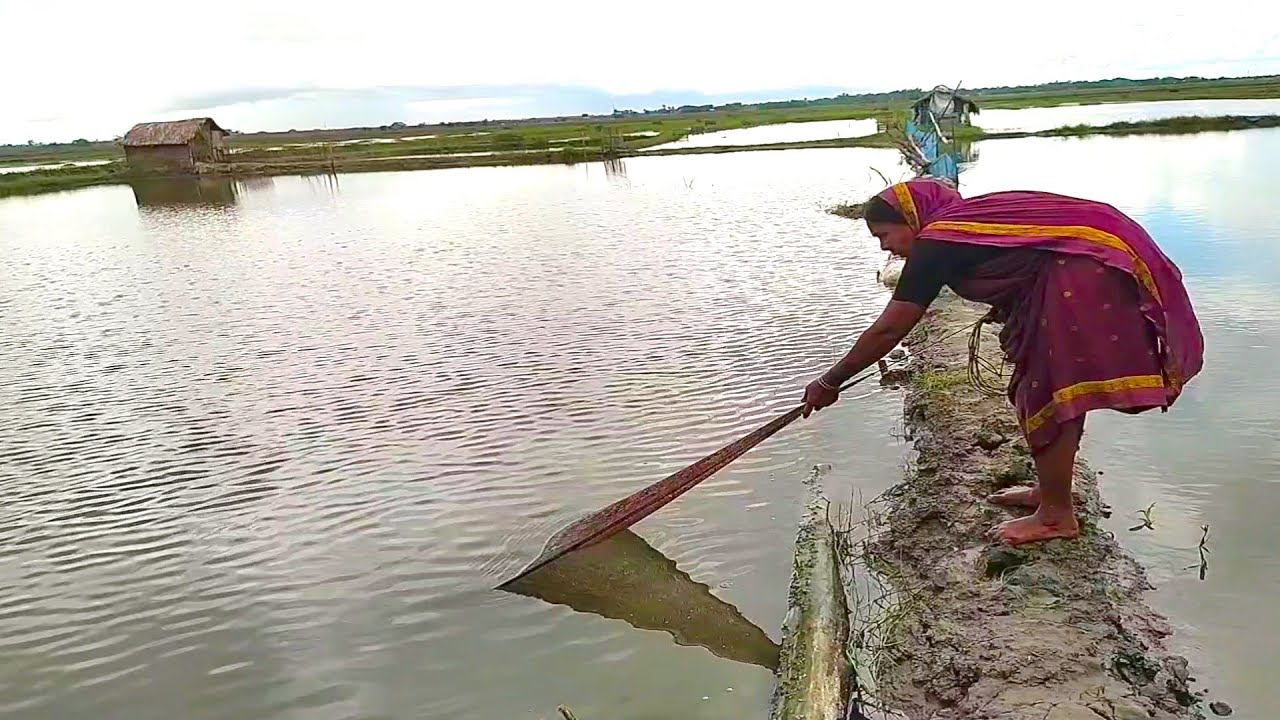 Net Fishing || Traditional Catching Fish With A Cast Net By Village ...
