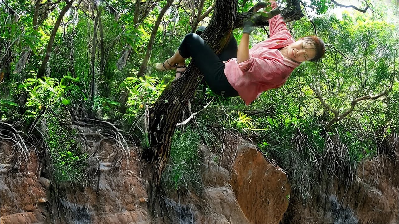 Harvesting 1000kg of Giant Frogs in Deep Pit & go Market to Sell - Girl Ambushed by Giant Python ...