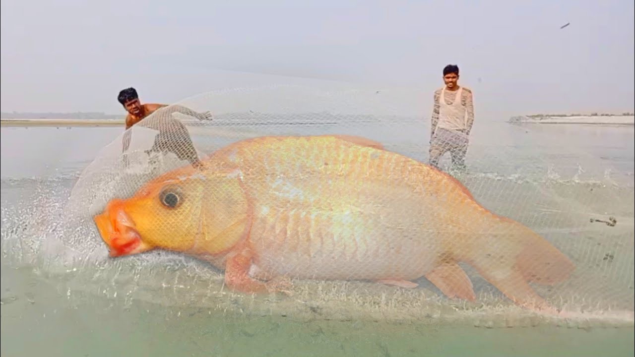best zahi Jaal net fishing satisfying cast net big fish in hand net ...