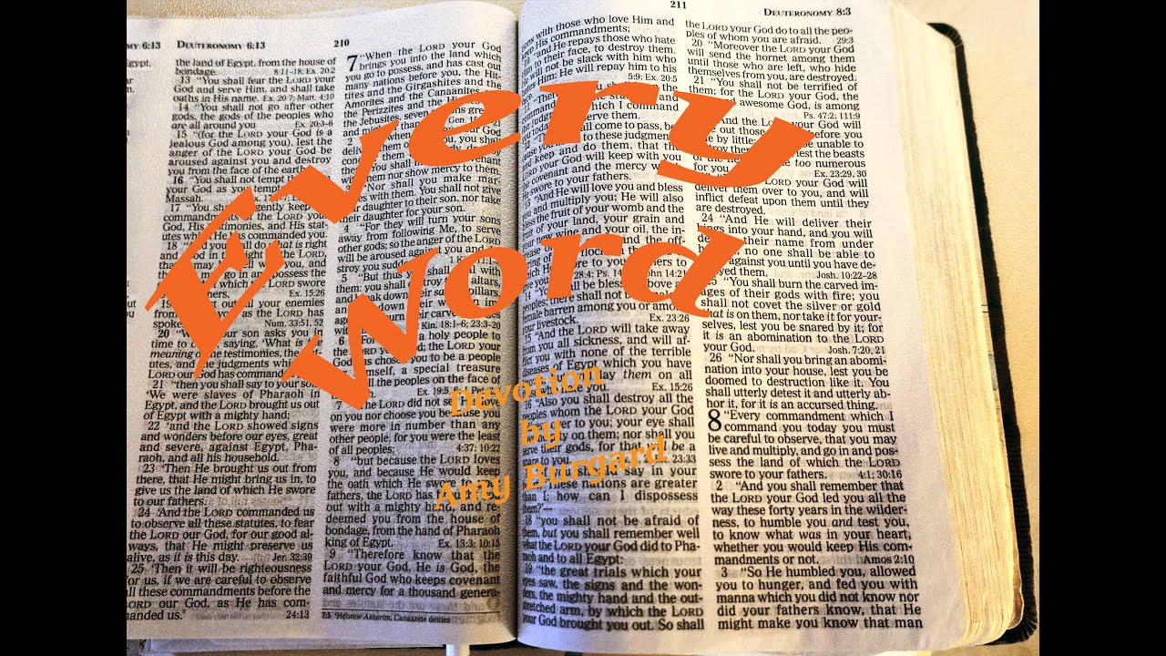 Every Word---803 Series---Deuteronomy - YouTube