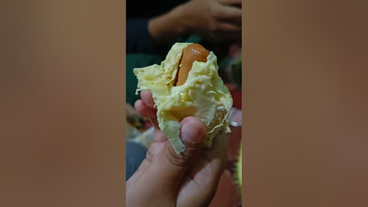 Tutorial menikmati durian Monthong Murmer kulit ijo daging kuning tebal manis legit tebbel - YouTube