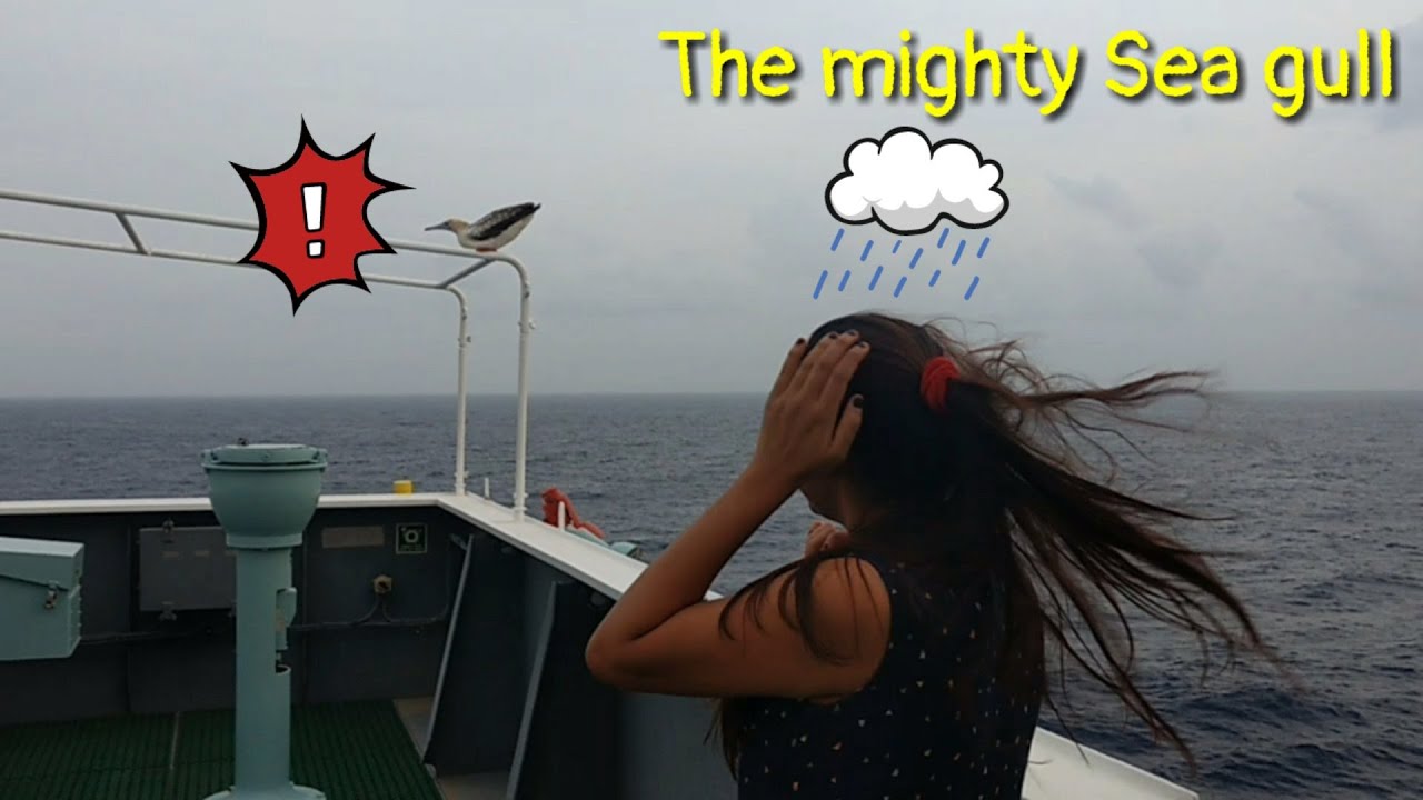 Adventures on ship!! The mighty Seagull! - YouTube