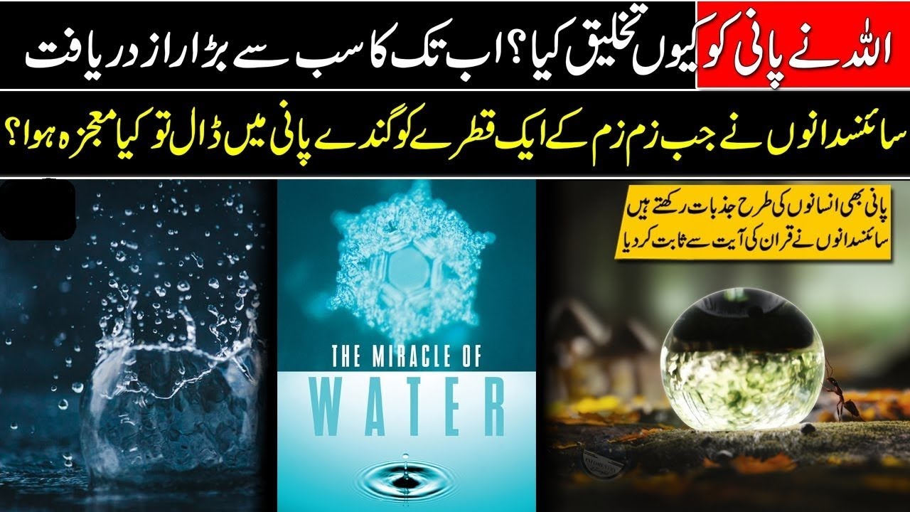 Why did Allah create water? The greatest mystery ever discovered - YouTube