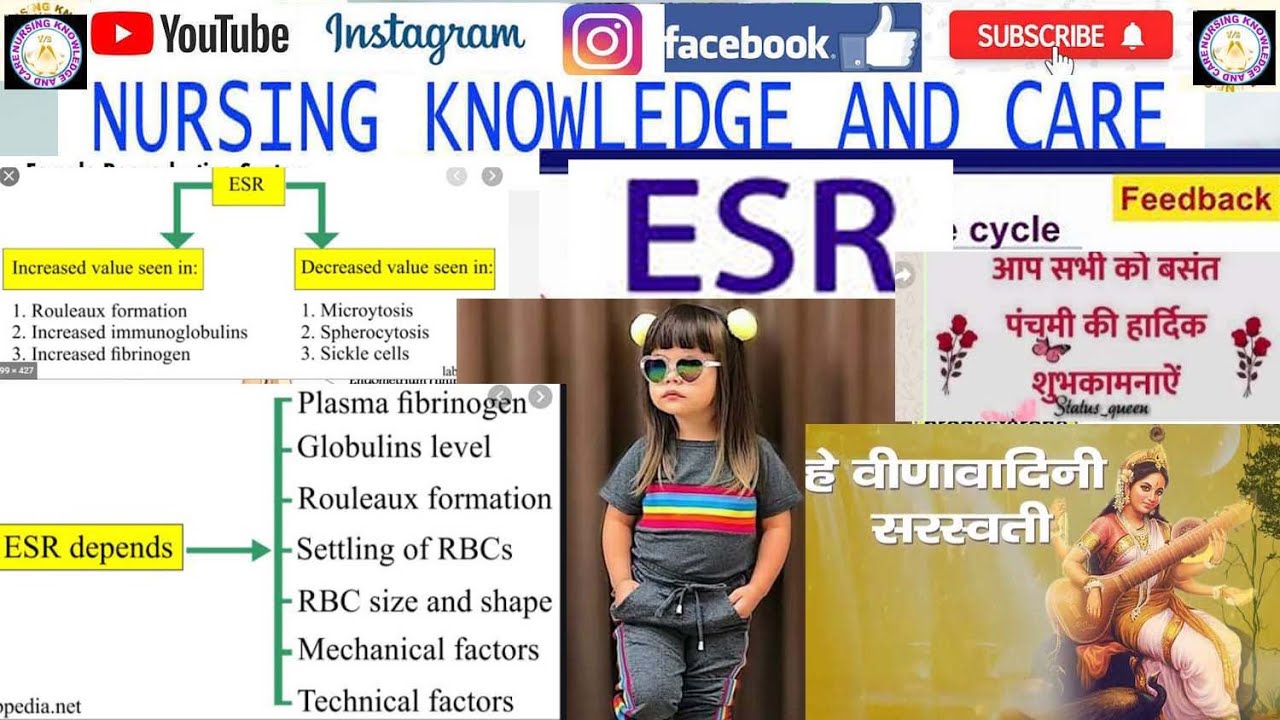 ESR (erythrocyte sedimentation rate)#nursing - YouTube