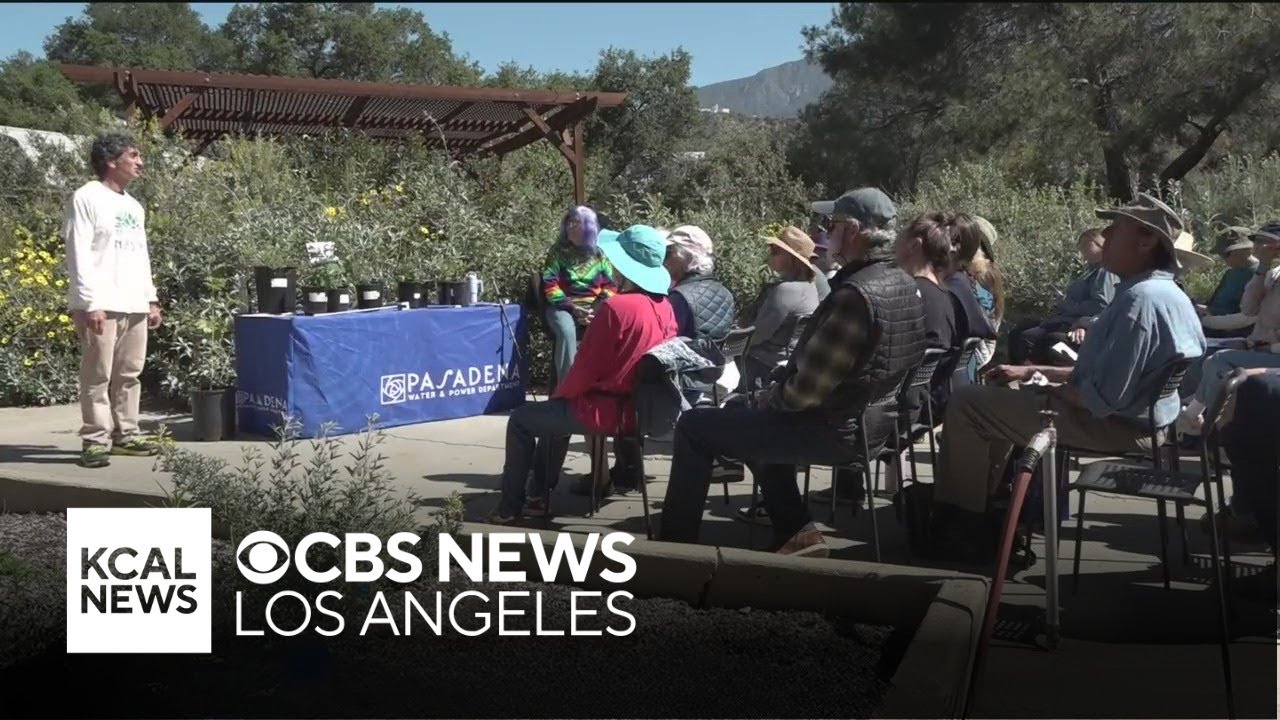 Landscaping experts recommend mulch to help clean soil after LA fires ...