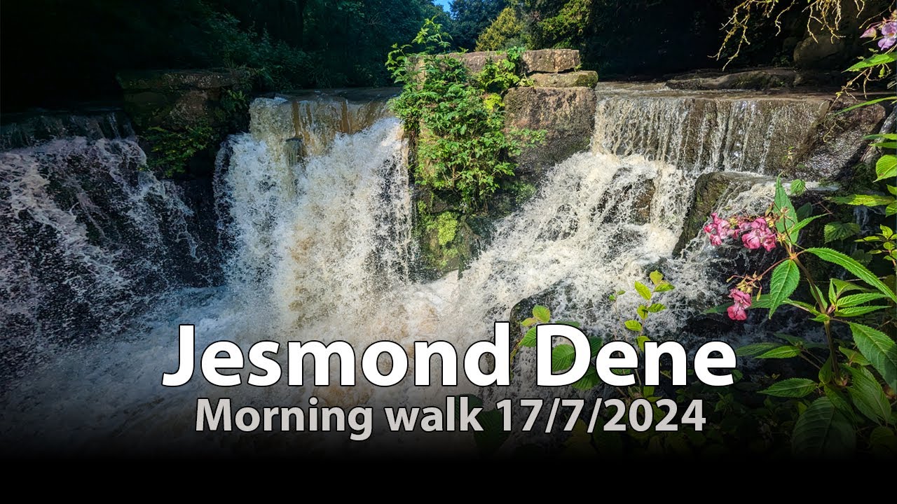 Jesmond Dene Walk - YouTube