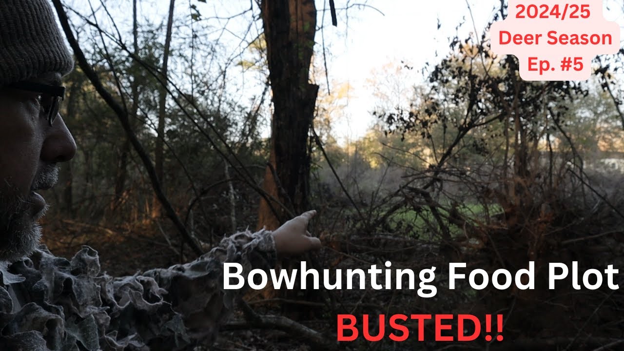 Bowhunting Food Plot ** BUSTED on the ground!! ** - YouTube