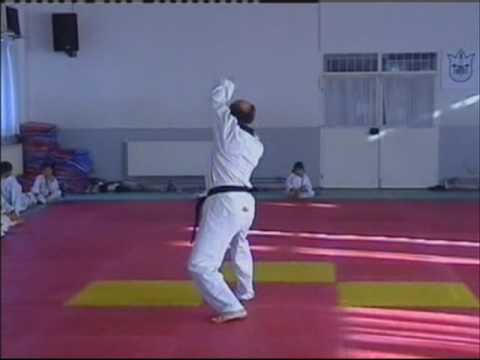 17-Taekwondo-ibrahim yeşildağ-Poomse Chonkwon Siyah kuşak-7.Dan.wmv