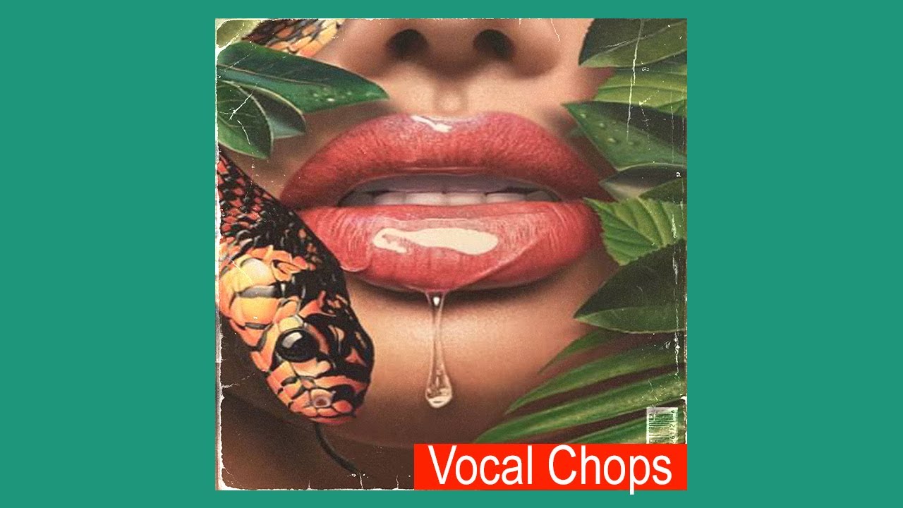 [FREE] VOCAL CHOPS SAMPLE PACK (+10 Royalty Free) vocal samples | vol:26 - YouTube