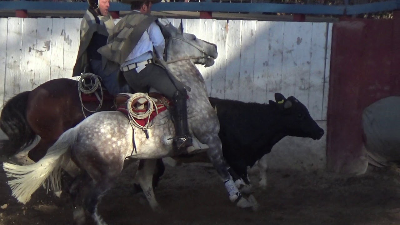 Final Rodeo Qta Normal 21 y 22 Dic 2019 2 Parte - YouTube