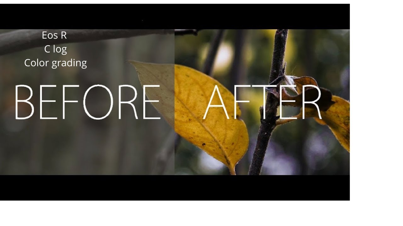 C Log Color Grading canon Eos R - YouTube