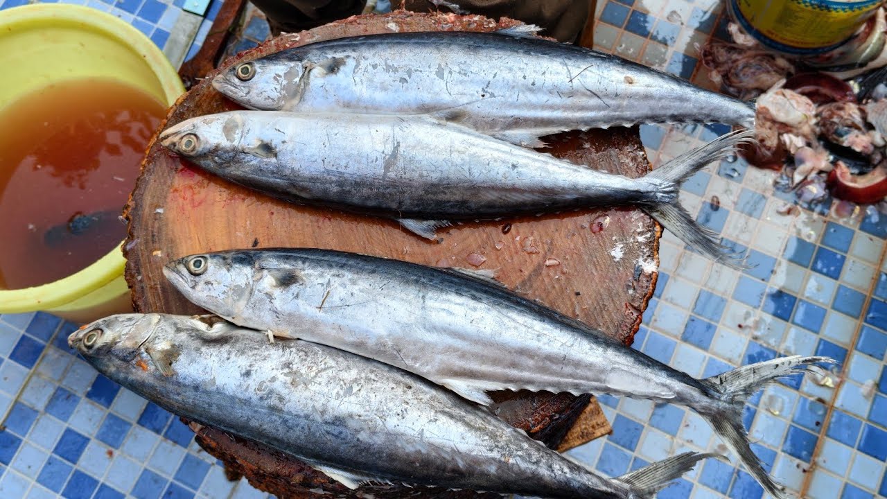వంజరం ఫిష్ కటింగ్ వీడియో vanjaram fish cutting skills Amazon vanjaram ...