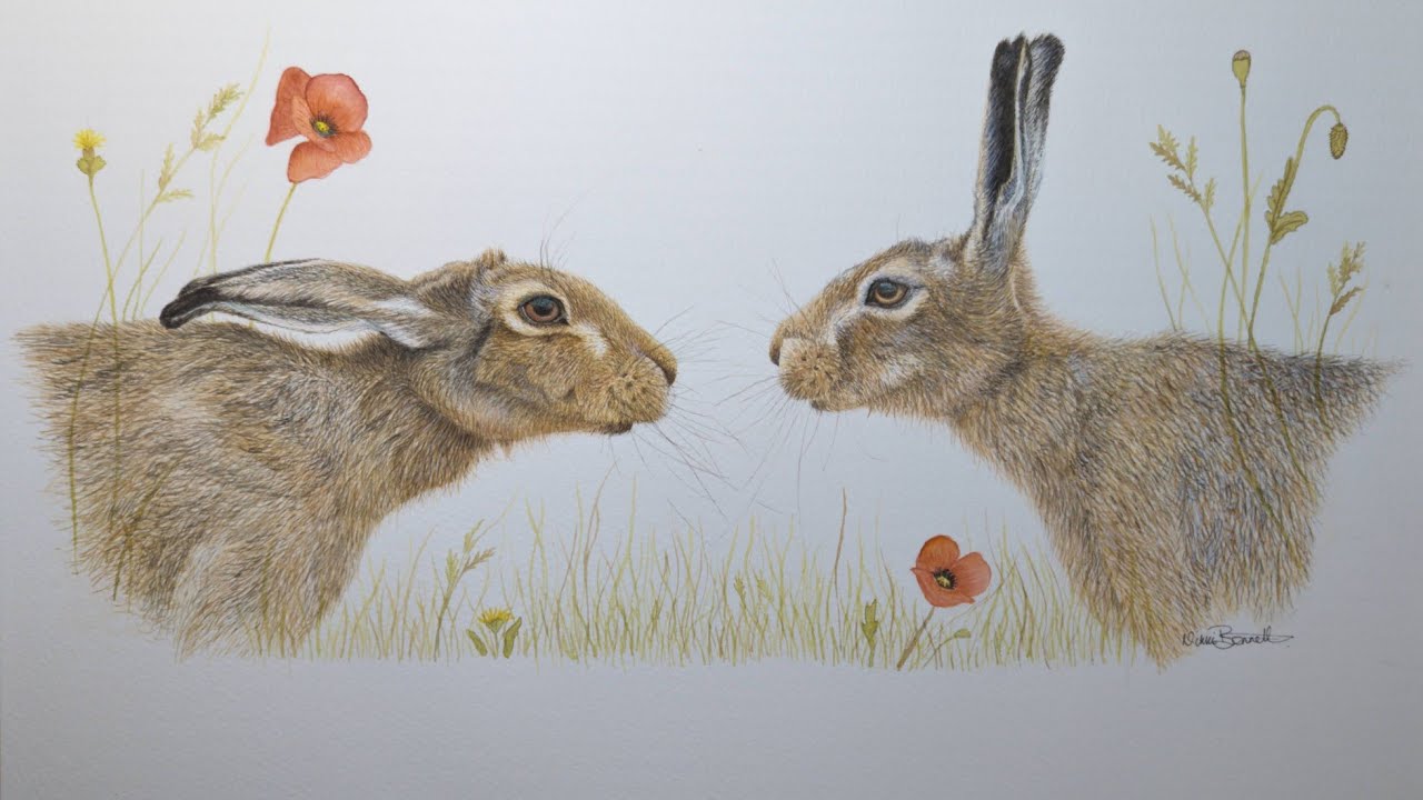 Painting 'Splitting Hares' using watercolour in my studio - YouTube