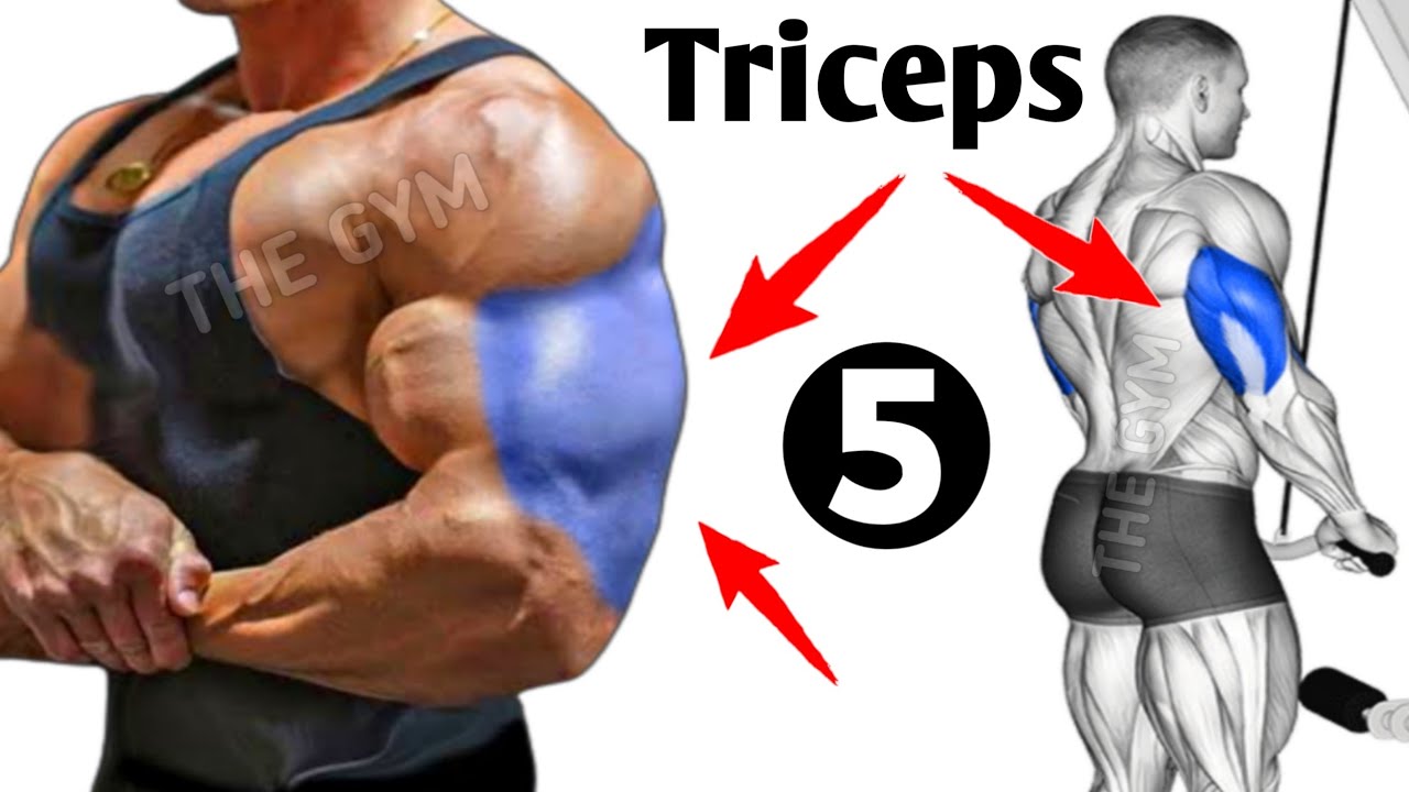 5 Fastest Big Triceps Exercises Workout - YouTube