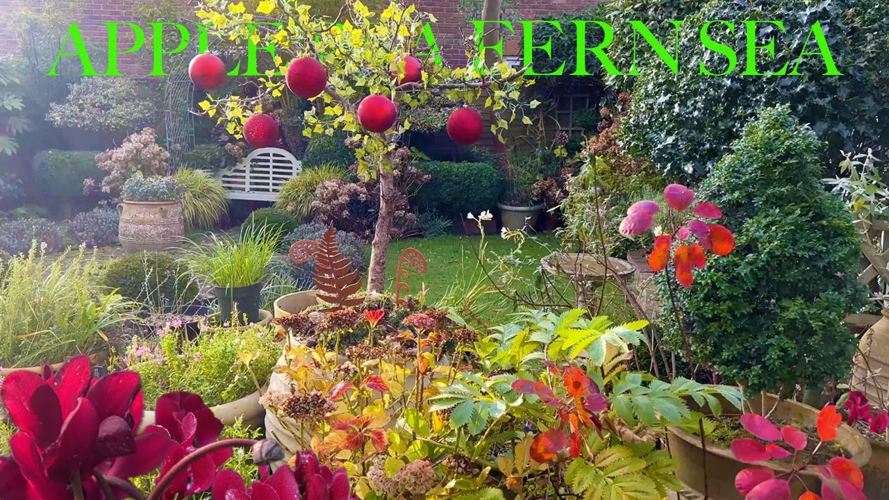 Magical December Garden Tour, Festive Flowers for Winter, Small Space ...