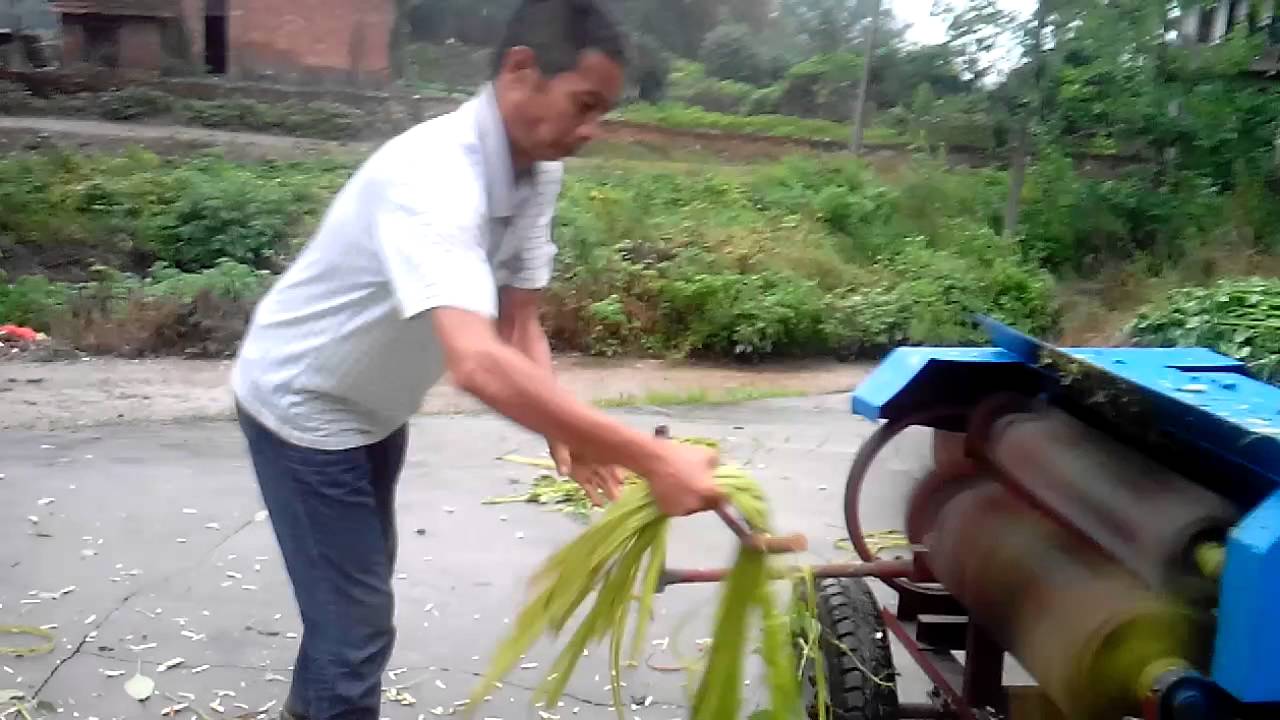 Jute Decorticator machine, Hemp machine, Jute fiber machine,Fiber ...