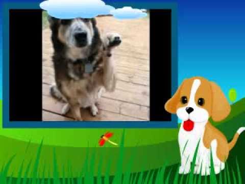 It ve Pisik.windows-az.com.flv