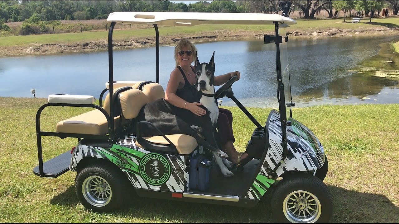 Great Dane Goes For Her First Golf Cart Ride - YouTube