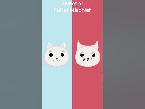 Warm Fuzzies : New Cat Sticker Collection Out Now on Redbubble! - YouTube