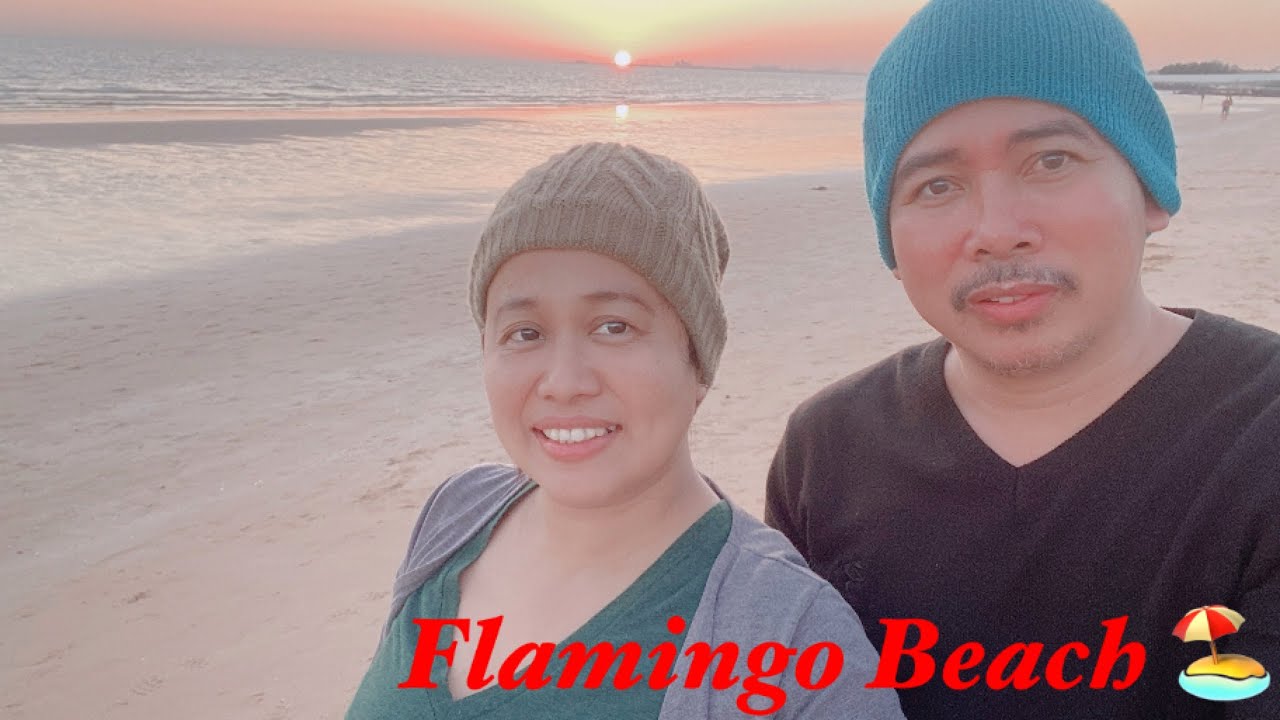 Flamingo Beach Rak - YouTube