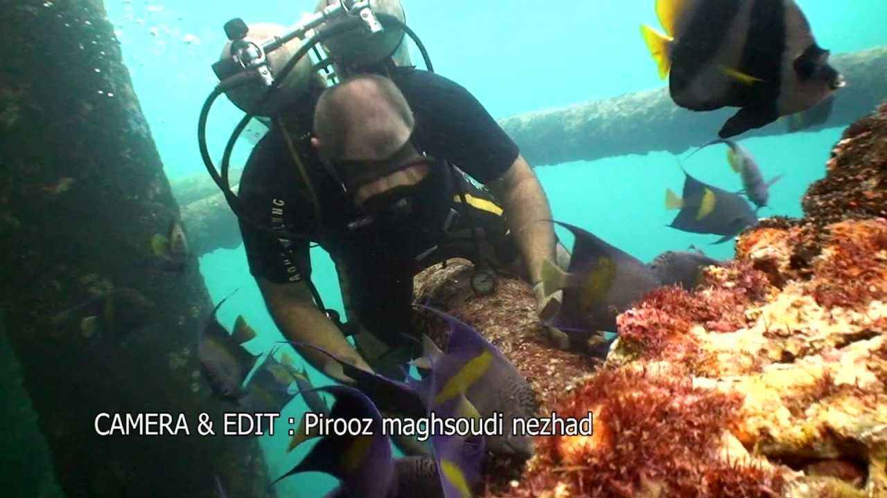 Commercial diving & Scuba diving in Iran - YouTube