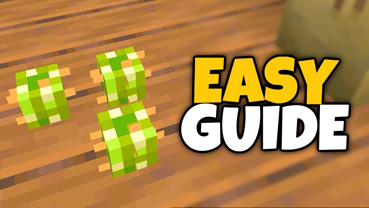 Minecraft Movie: Yearn Cape Event - How to Find The CACTUS BALLS (Easy ...