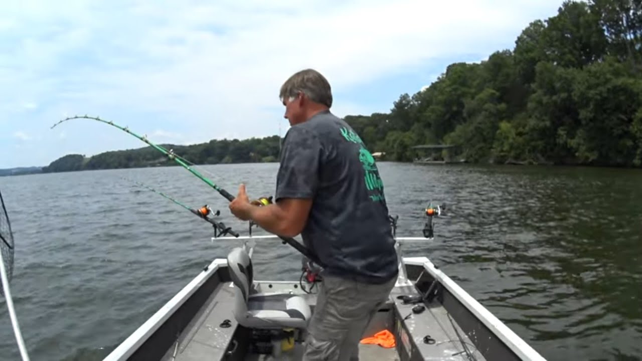 Have You Ever Seen This Many Catfish? THE BITE WAS INSANE! - YouTube