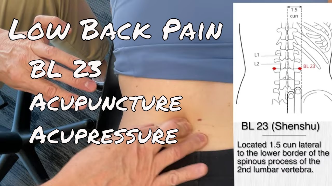 BL 23 Acupressure: Low Back Pain - YouTube